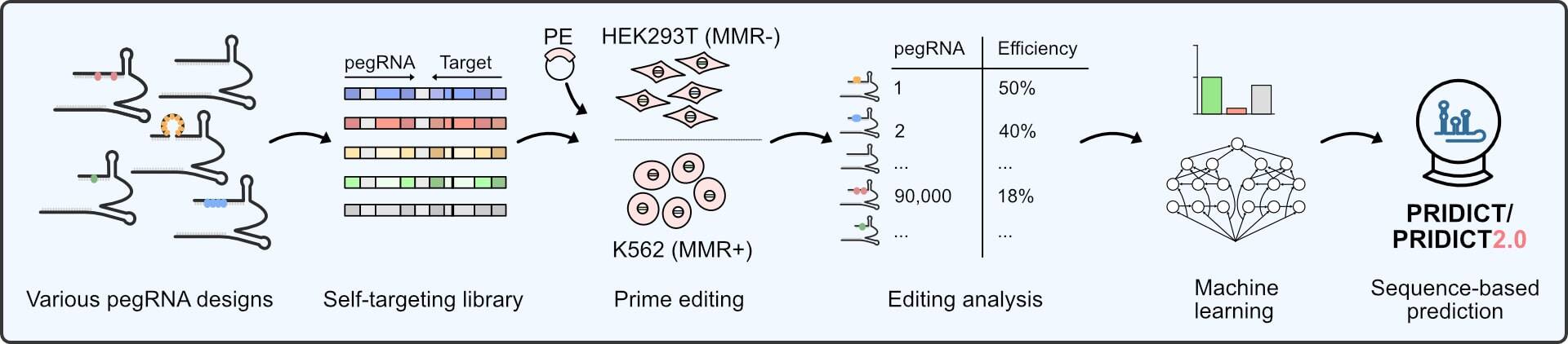 PRIDICT: Predicting Efficiencies of Prime Editing Guide RNAs